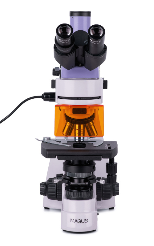 Order MAGUS Lum D400 Fluorescence Digital Microscope – Wholesale ...